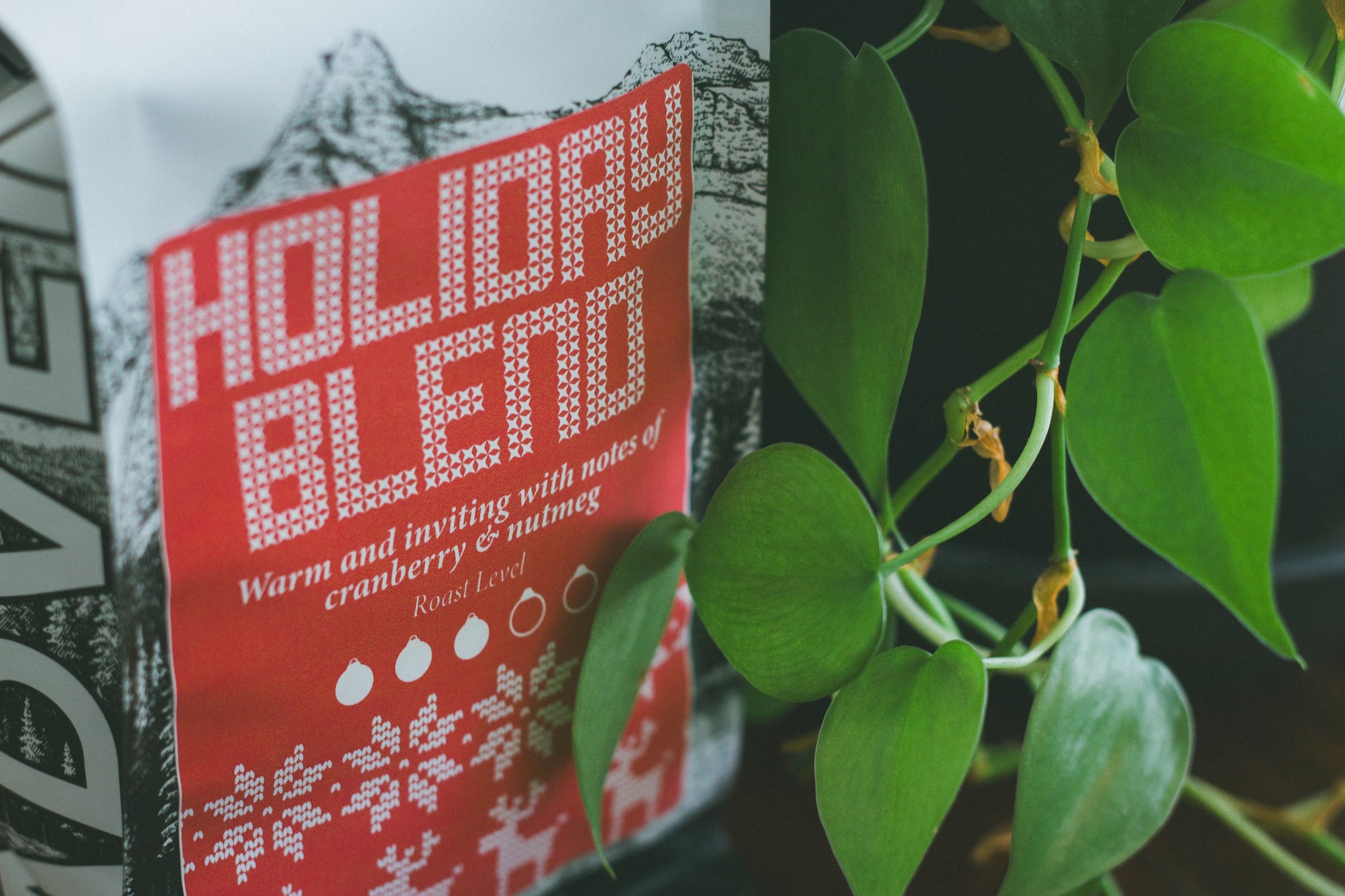 Mayfly Coffee: Coffee For Adventure